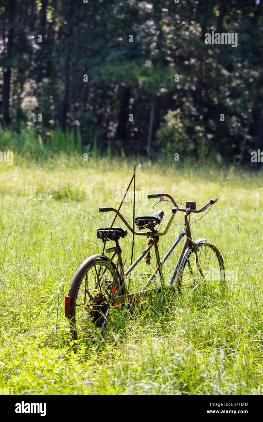 Old tandem bicycle on Southern farm Stock Photo - Alamy