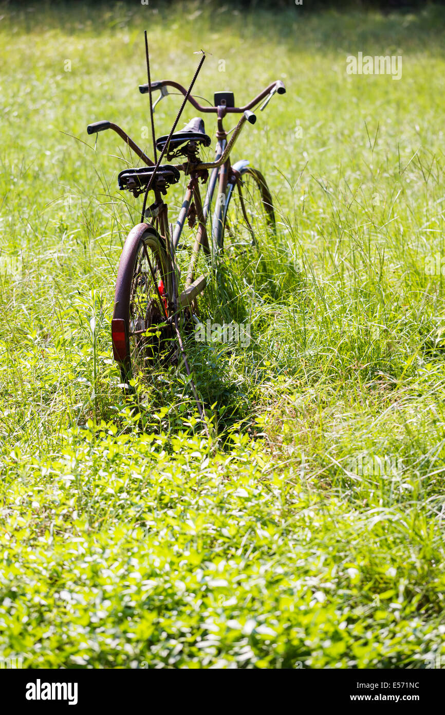 Old tandem bicycle on Southern farm Stock Photo - Alamy