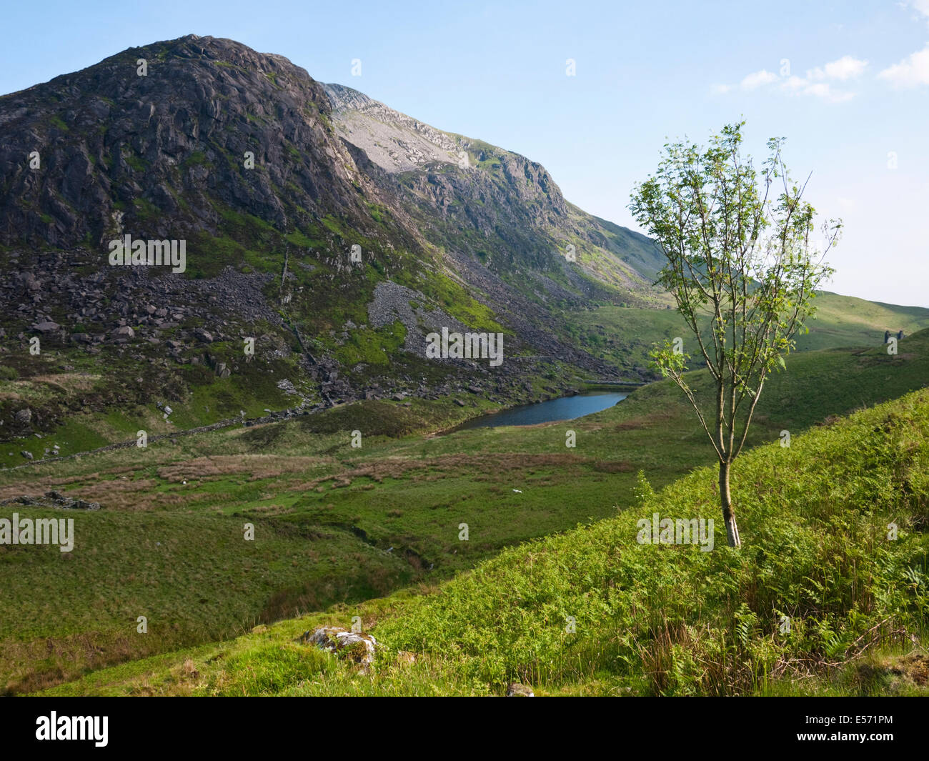 View to Moel Lefn across Cwm Trwsgl from the Nantlle Ridge, Eifionydd ...