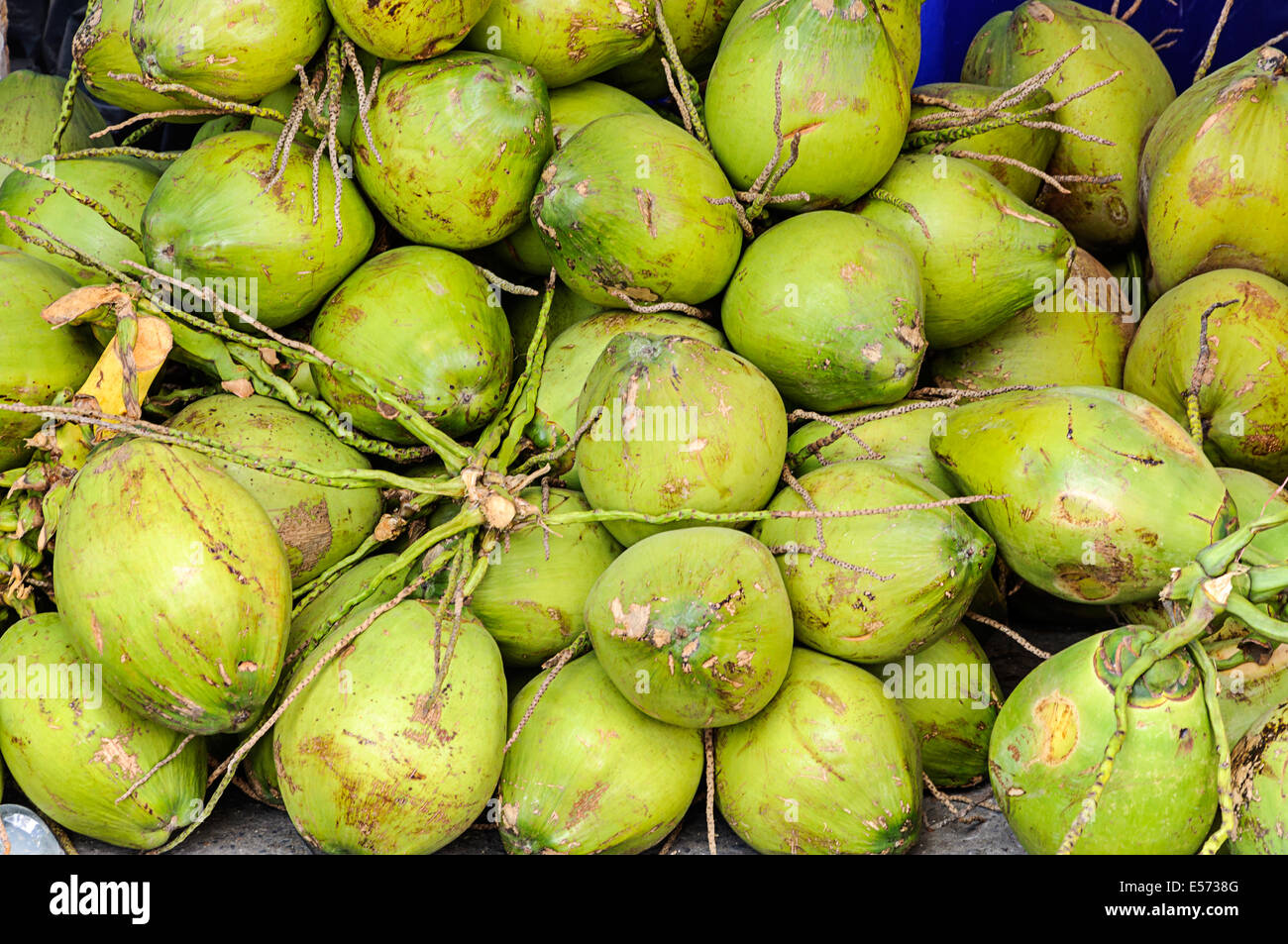 Bunch of coconuts on the ground Stock Photo - Alamy
