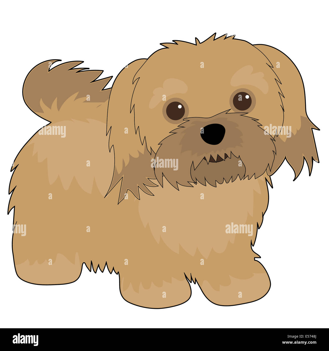 A cartoon illustration of a Havanese dog Stock Photo - Alamy