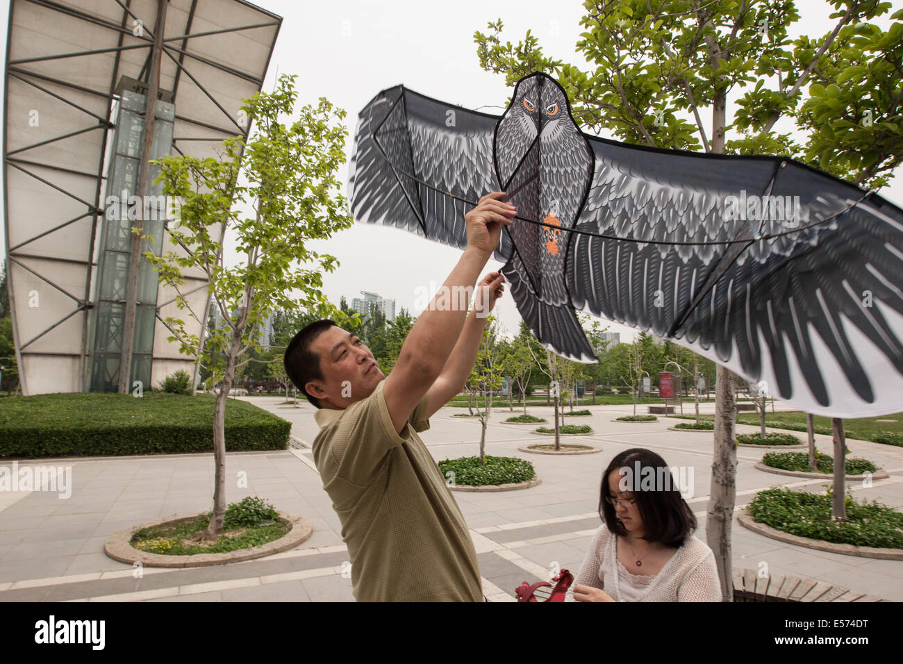 Chinese couple prepare a kite to fly, in Grand Canal Square, in ...