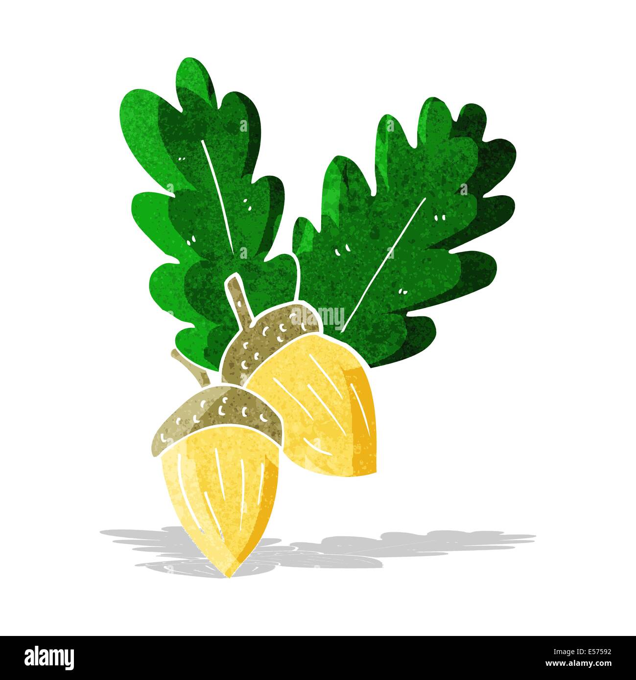 Acorns clip art line drawing hi-res stock photography and images - Alamy