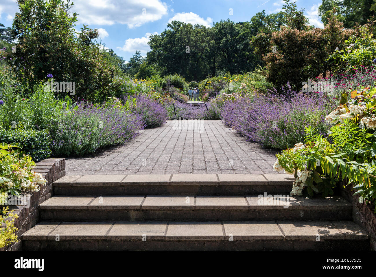 Beautiful Summer flower borders along a brick path at Wisley RHS ...