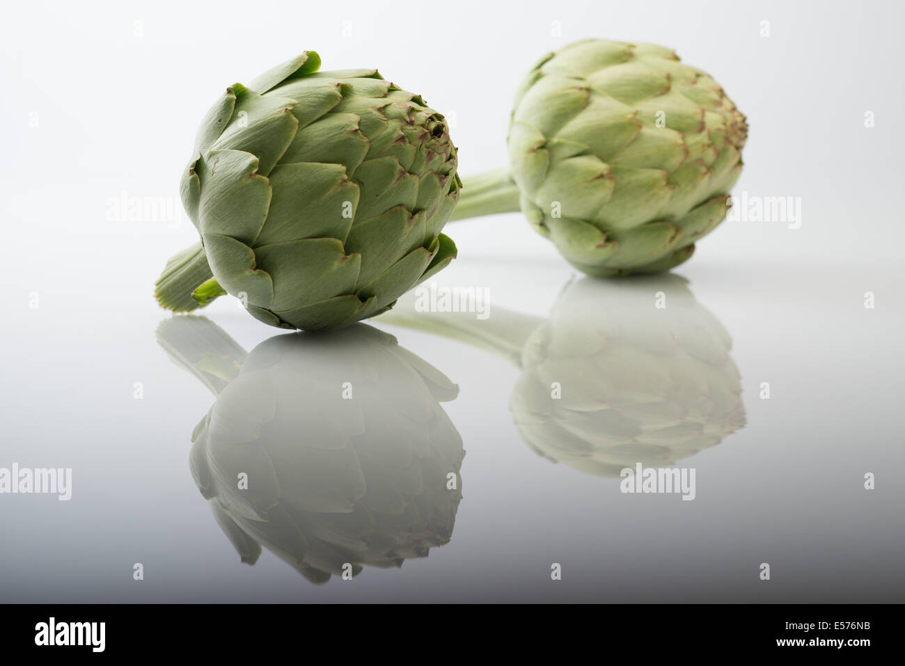 Whole Artichokes reflected on white perspex background Stock Photo - Alamy