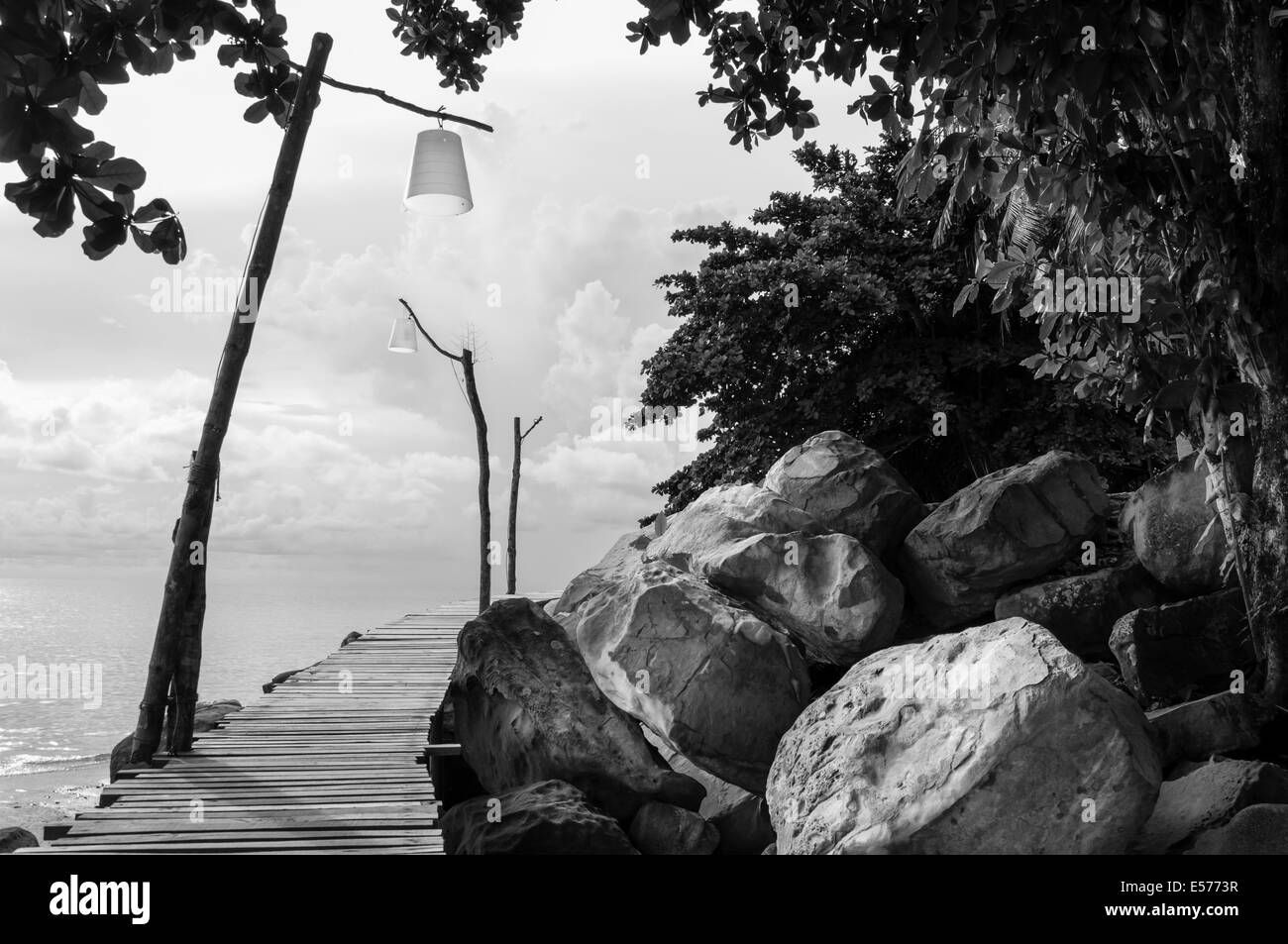 Green palm on empty beach Black and White Stock Photos & Images - Alamy