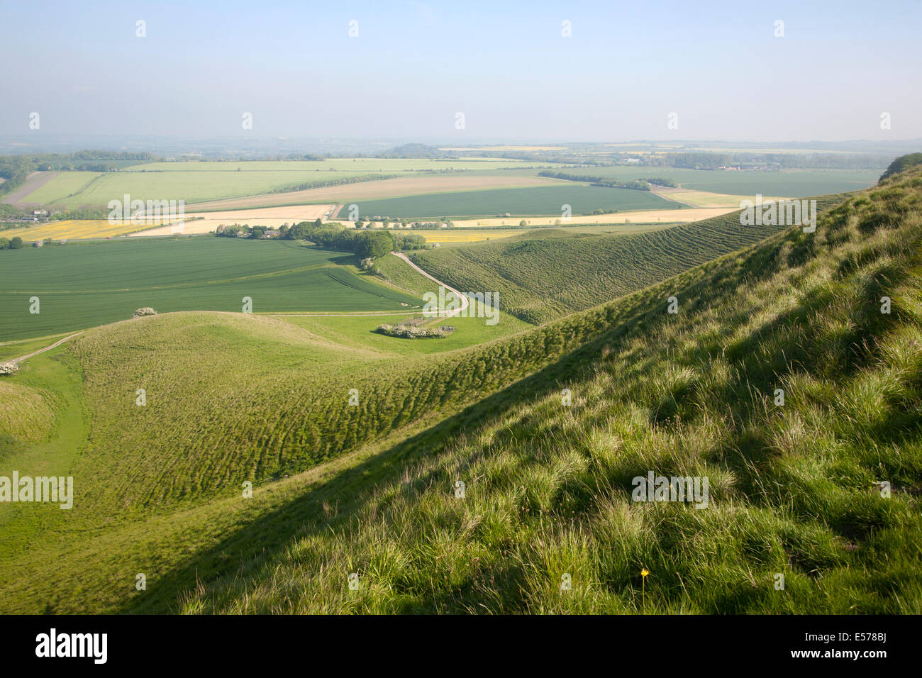 Summer view arable fields chalk landscape from cherhill down escarpment ...