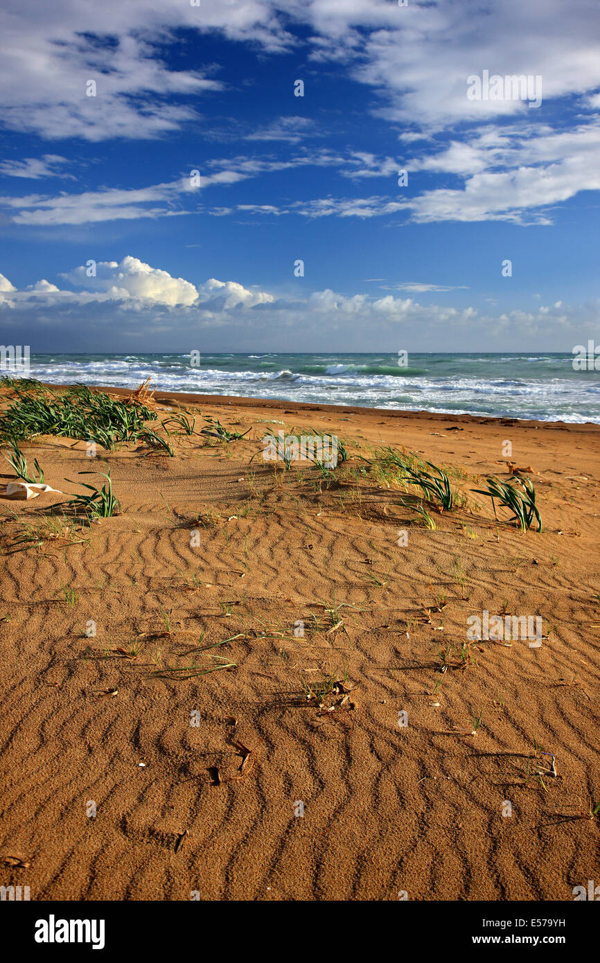 Kaiafas beach, Zacharo municipality, Ileia, Peloponnese, Greece Stock ...