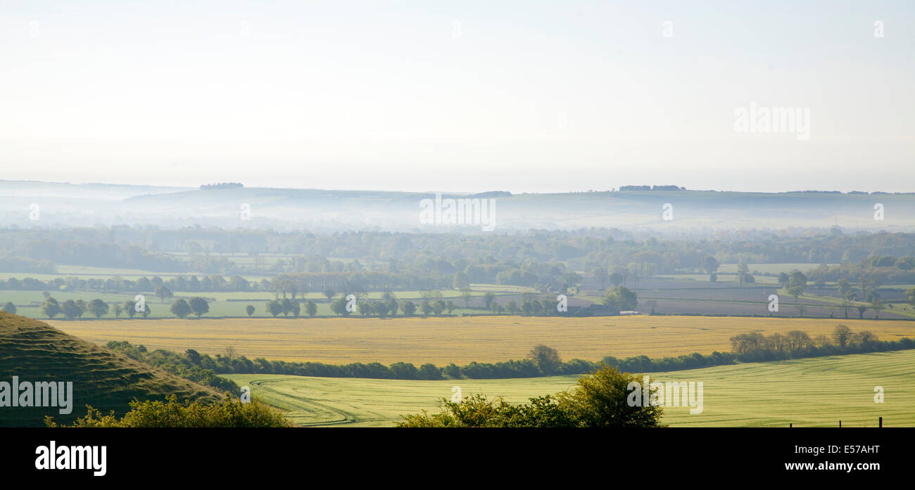Early morning ground fog lying over fields in the Vale of Pewsey, near ...