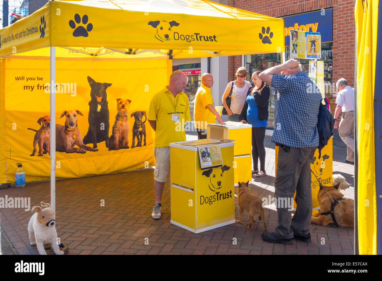 A town centre High Street promotion by the Dog's Trust charity for re ...
