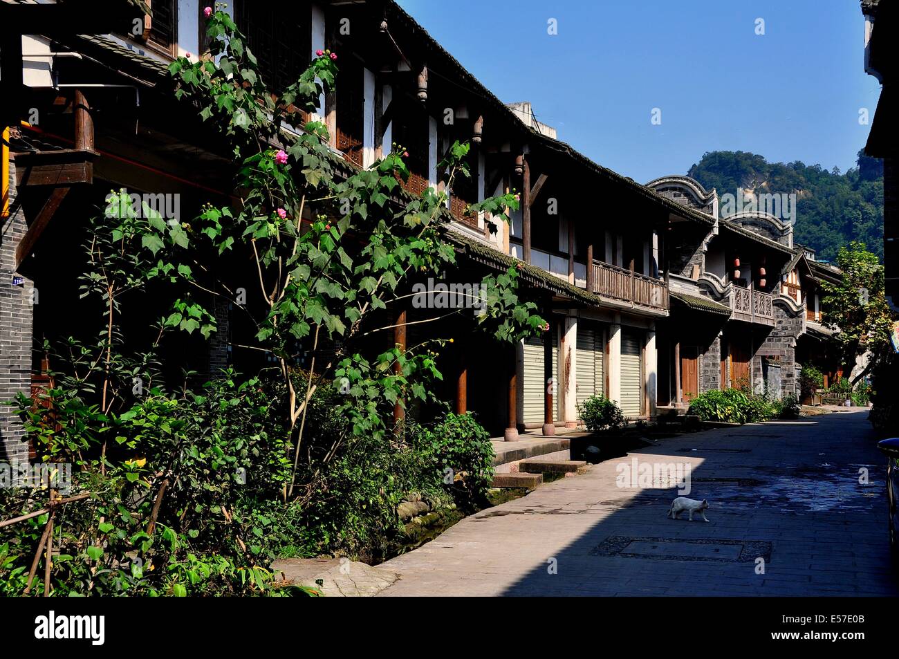 China street view hi-res stock photography and images - Alamy