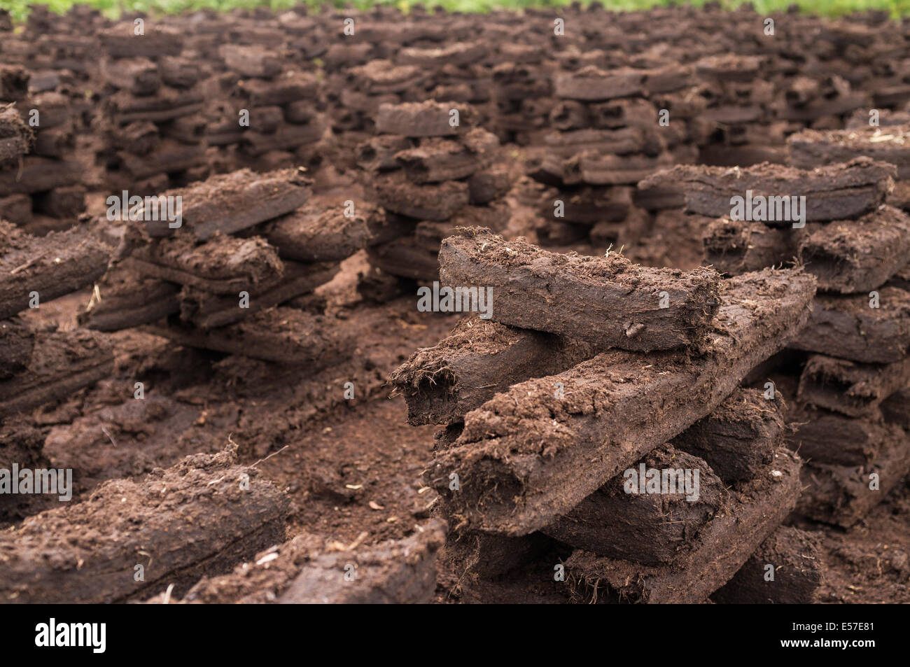 Turf stacks footed for drying to be burnt as fuel to keep houses heated ...