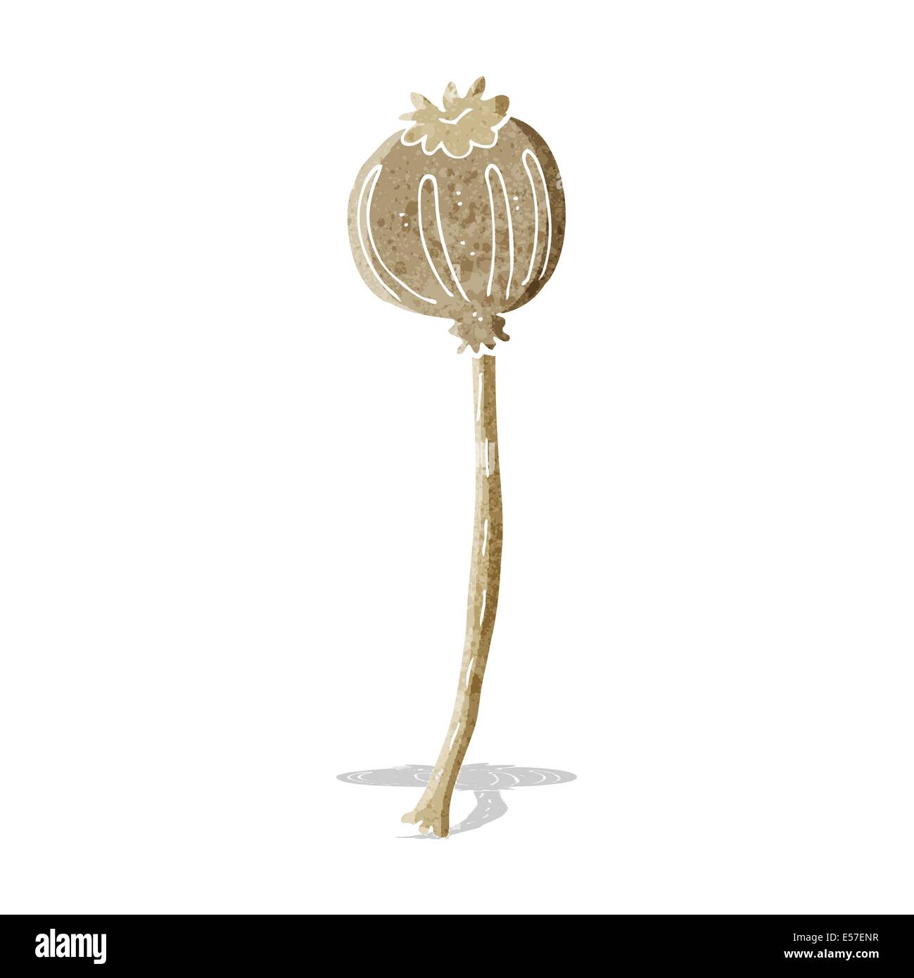 cartoon dried poppy Stock Vector Image & Art - Alamy