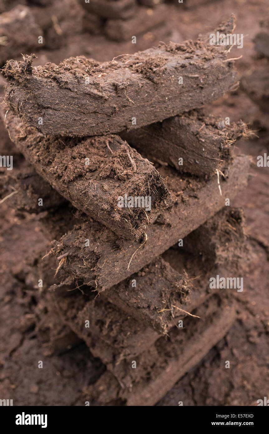 Turf stacks footed for drying to be burnt as fuel to keep houses heated ...