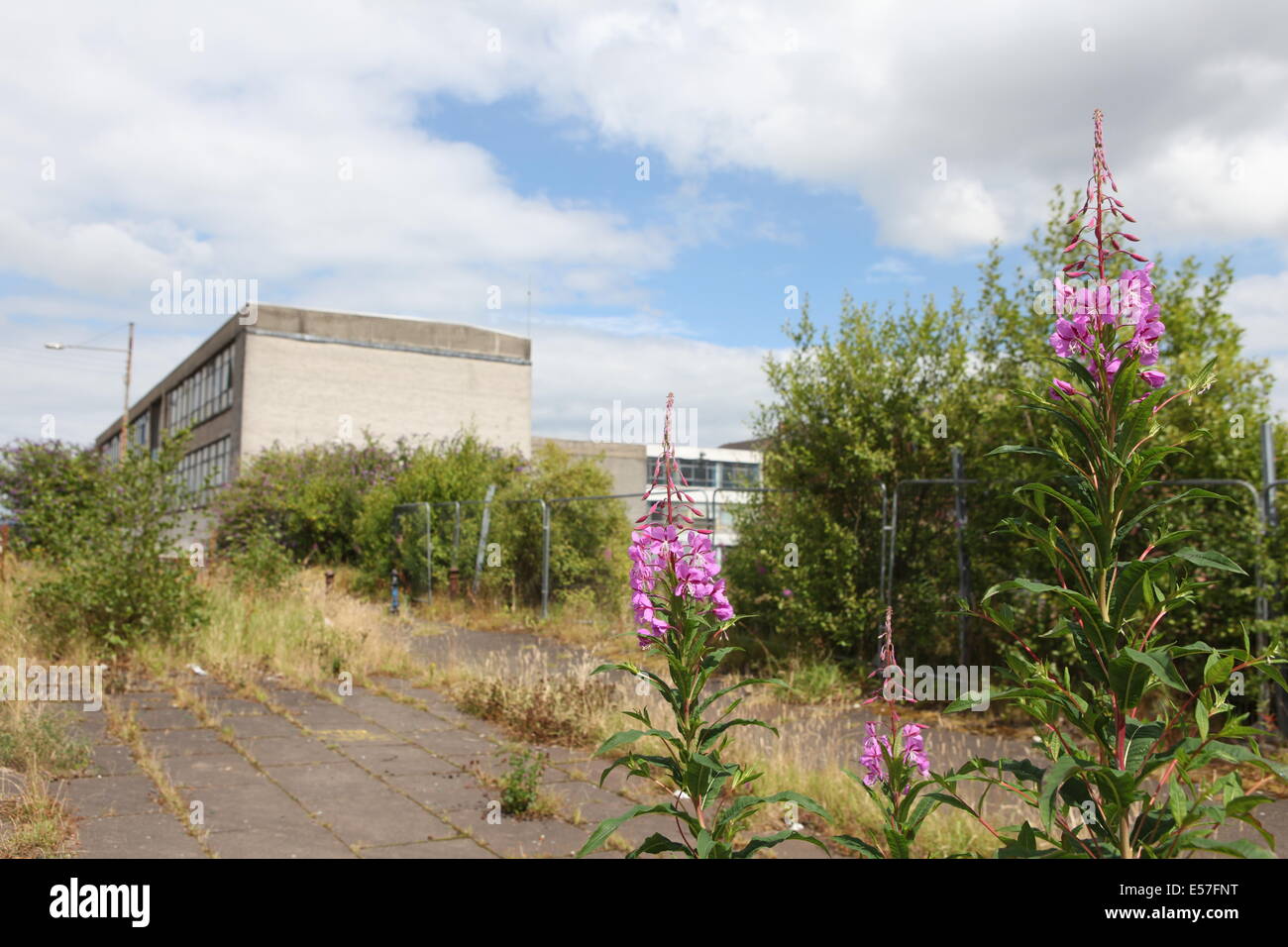 Wasteland and derelict buildings in Possilpark, Glasgow, Scotland, UK ...