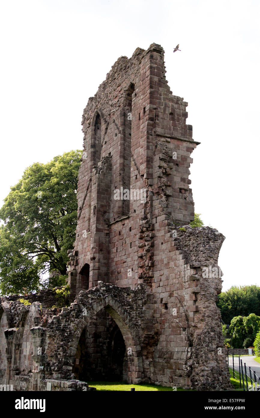 Wop heritage hi-res stock photography and images - Alamy