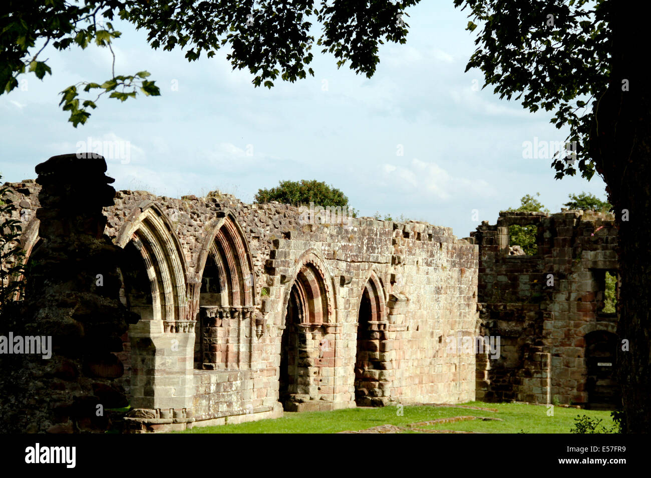 Wop heritage hi-res stock photography and images - Alamy