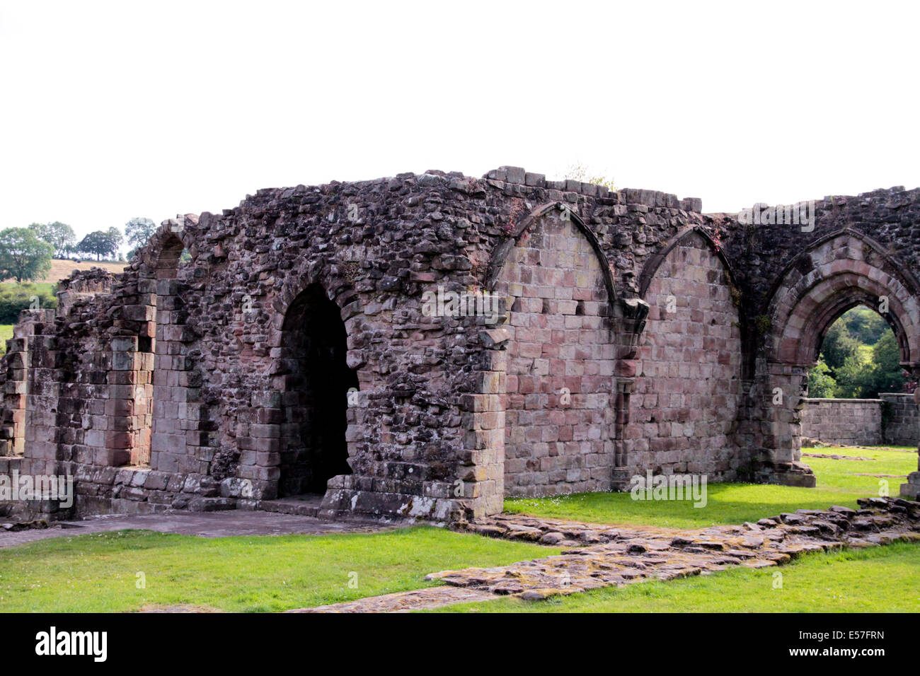 Wop heritage hi-res stock photography and images - Alamy