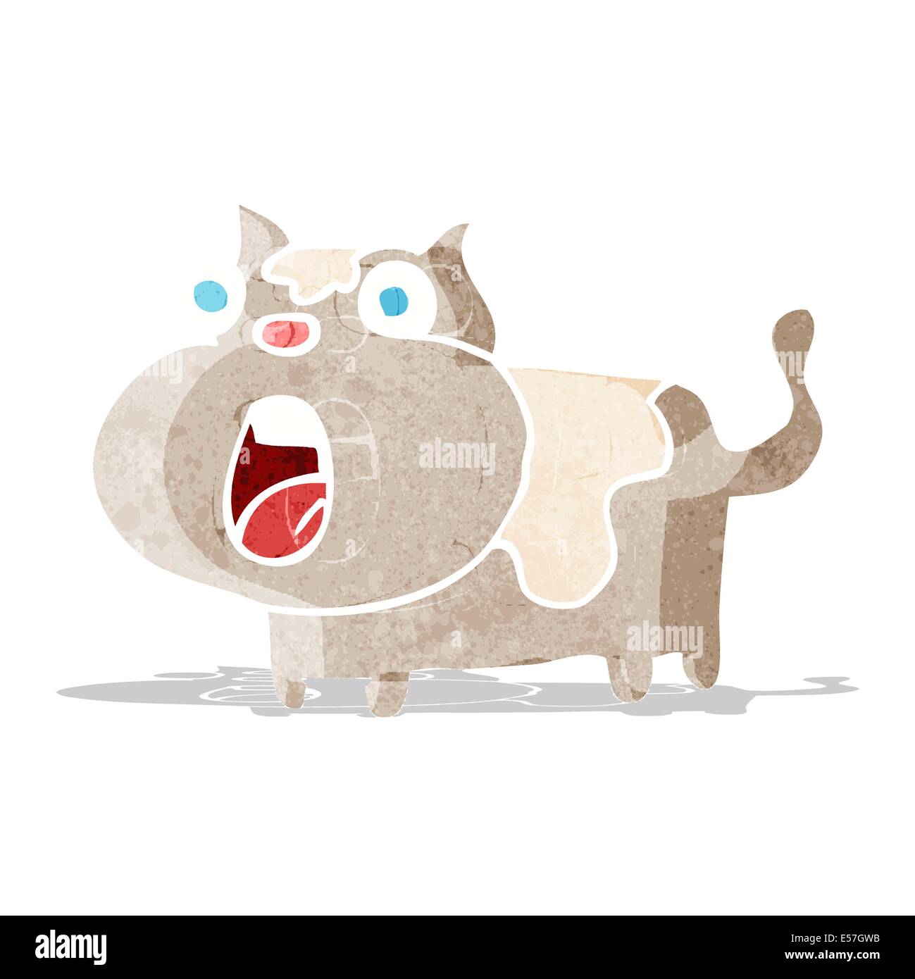 cartoon shocked cat Stock Vector Image & Art - Alamy