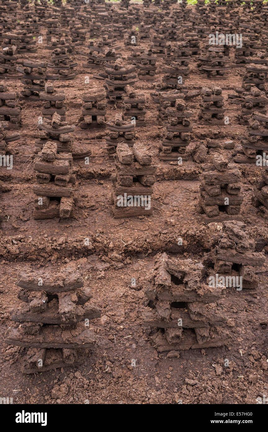 Turf stacks footed for drying to be burnt as fuel to keep houses heated ...