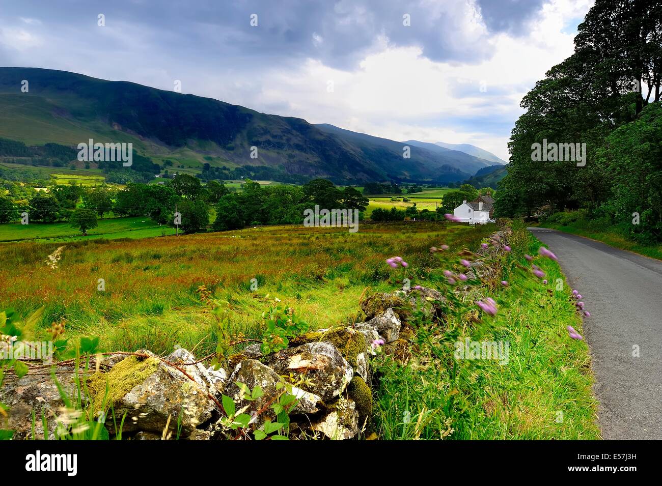 Isolated Farmhouse in the Valley Stock Photo - Alamy