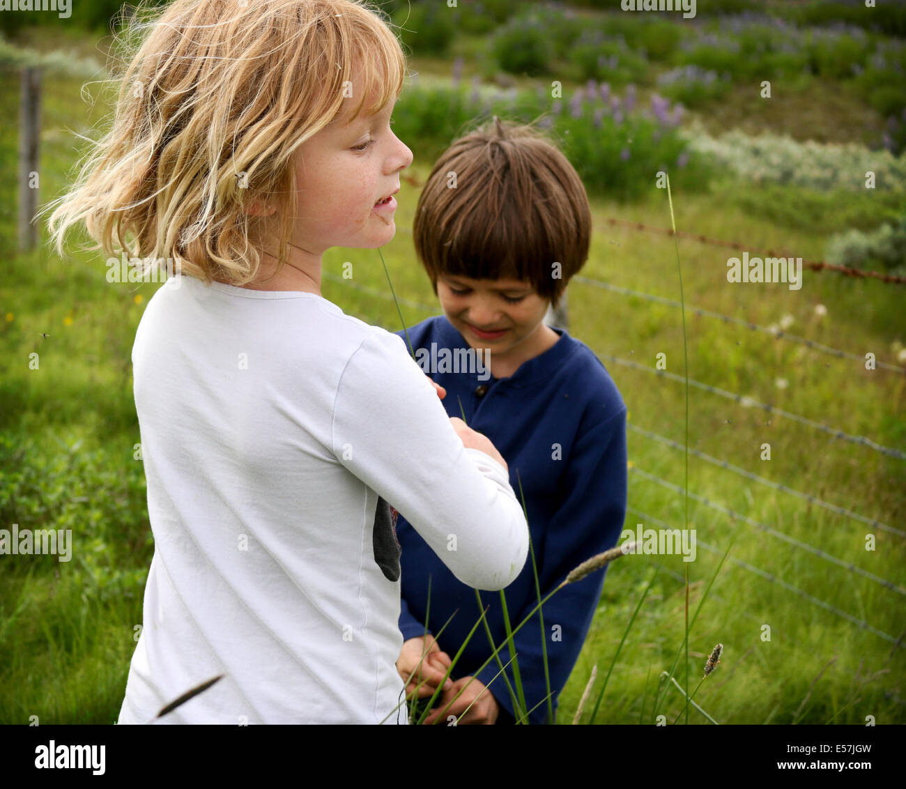 Children playing in a field south part of Iceland Stock Photo - Alamy