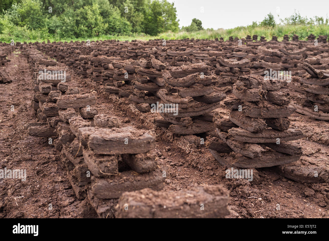 Turf stacks footed for drying to be burnt as fuel to keep houses heated ...