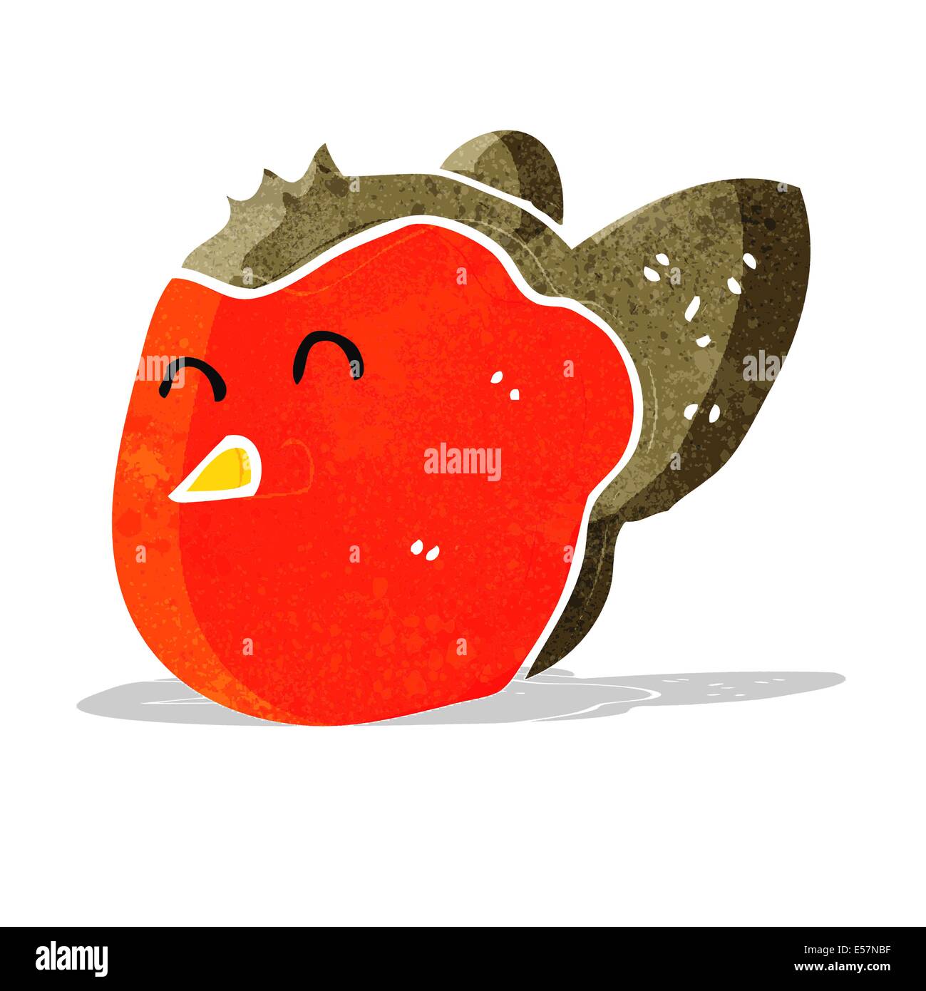 Rough robin Cut Out Stock Images & Pictures - Alamy