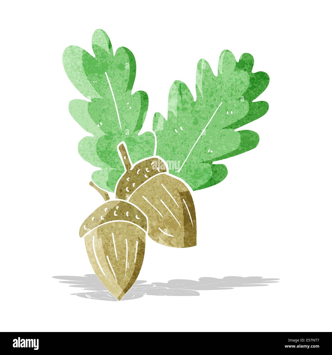 Acorns clip art line drawing hi-res stock photography and images - Alamy