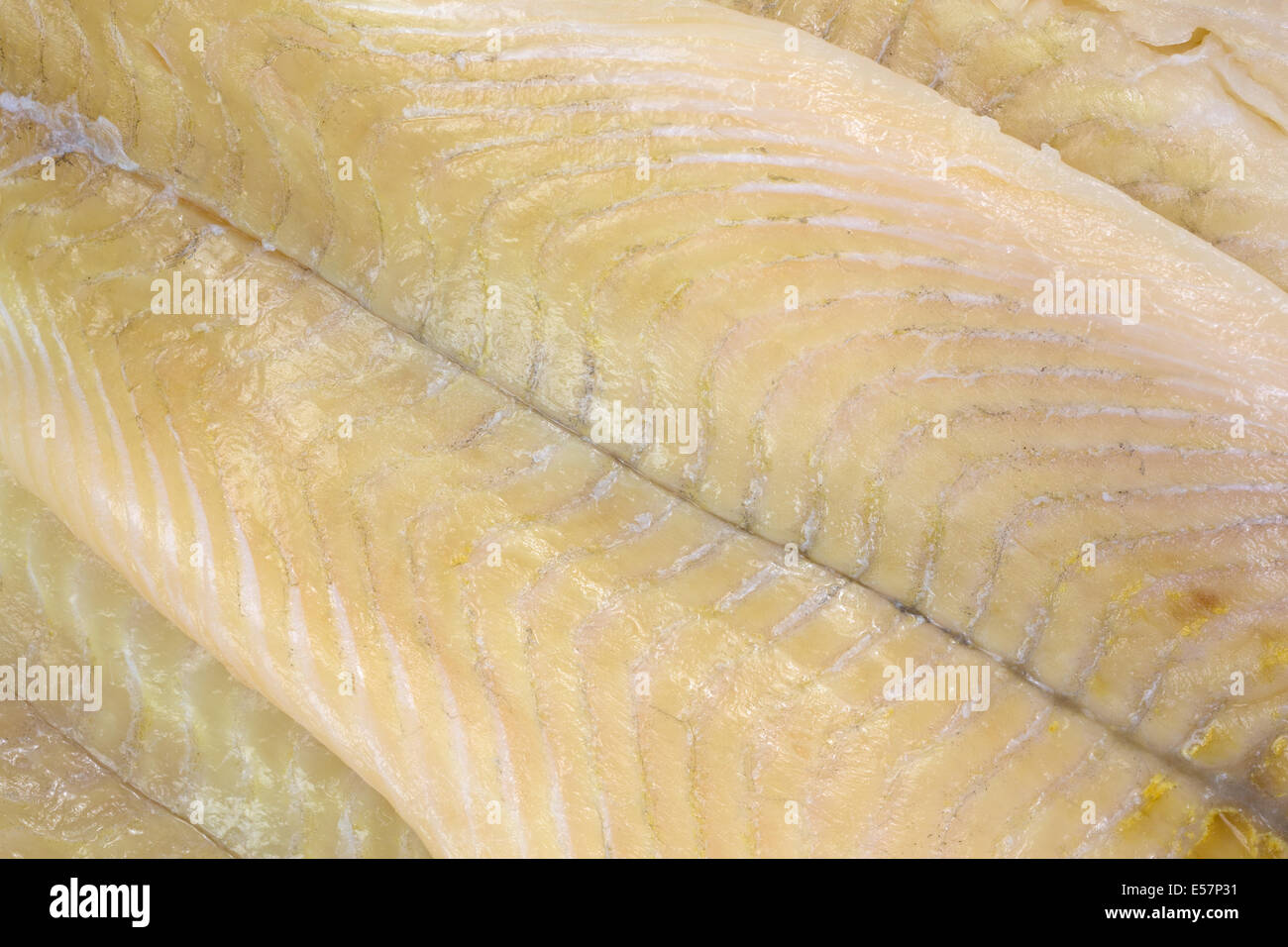 Fresh Flounder Fillets
