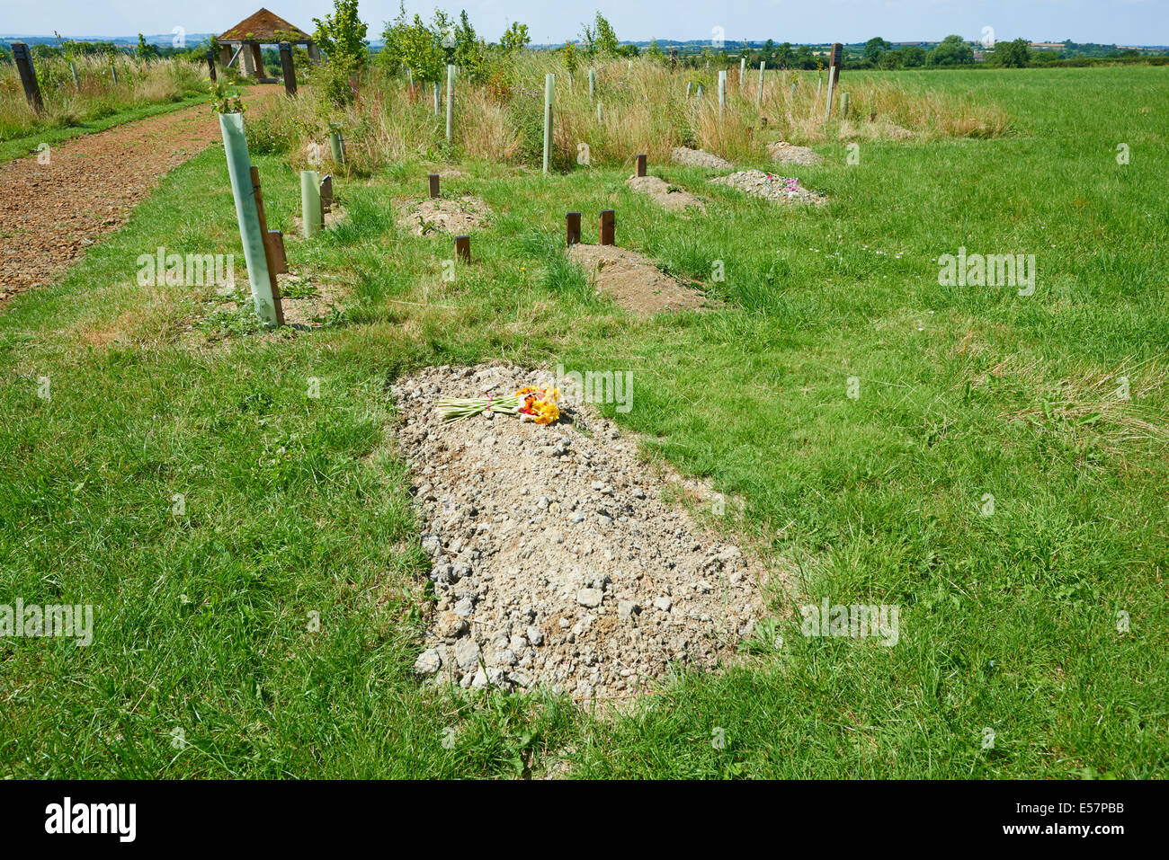 Graves At Sun Rising Natural Burial Ground and Nature Reserve in Tysoe ...