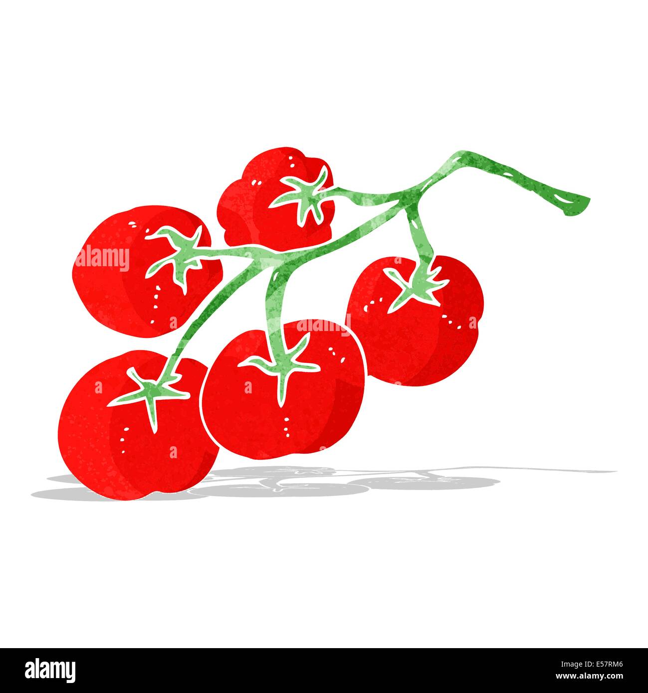tomatoes on vine illustration Stock Vector Image & Art - Alamy