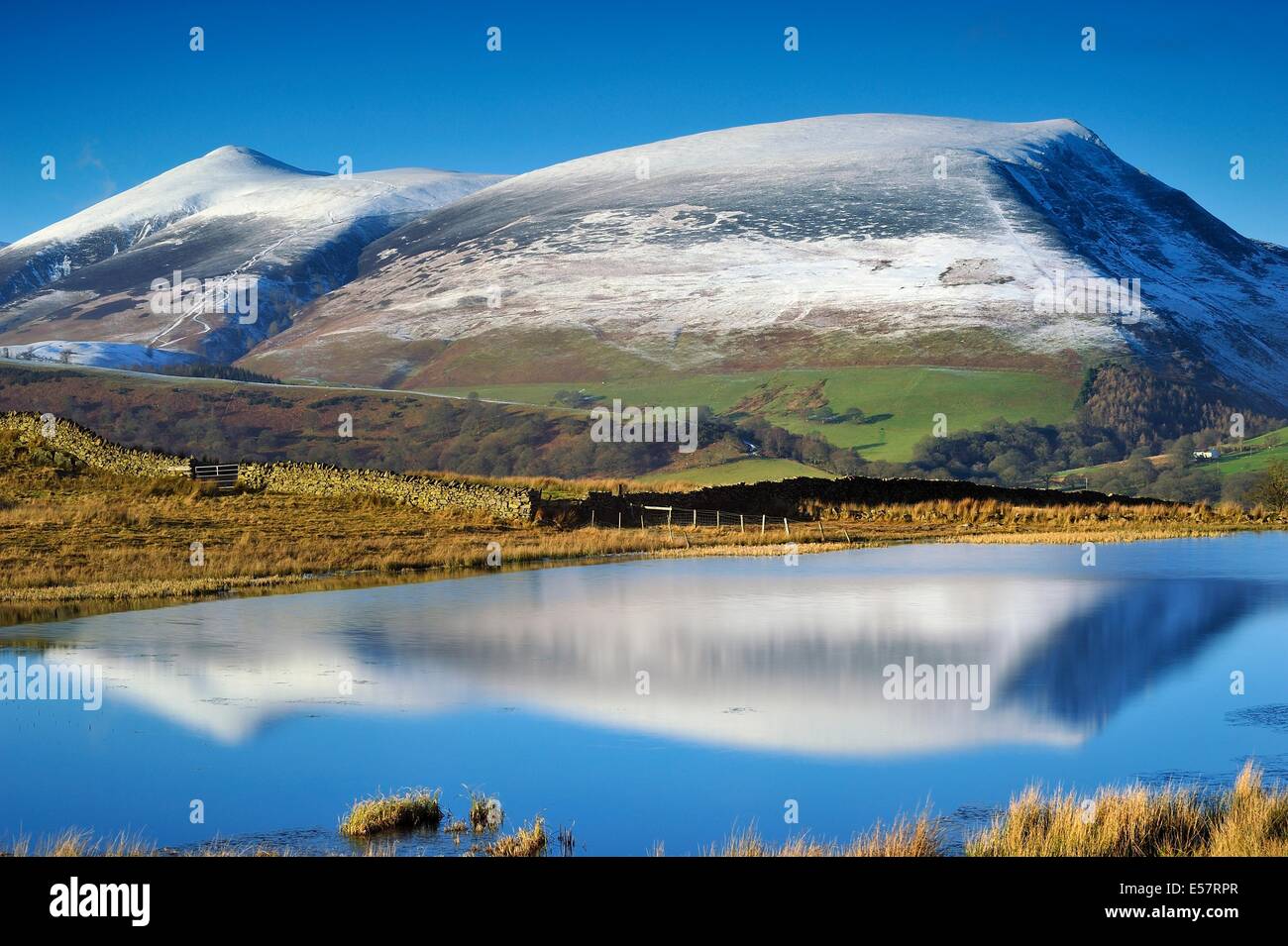 Tewet High Resolution Stock Photography and Images - Alamy