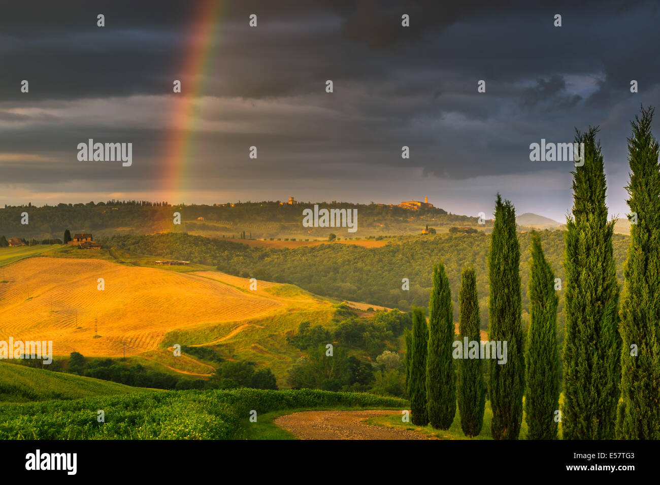 Rainbow with famous Cypress trees in the heart of the Tuscany, near ...