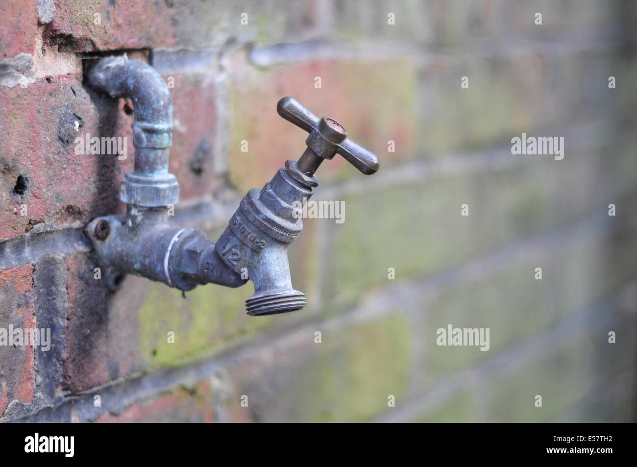 Outdoor garden tap hi-res stock photography and images - Alamy