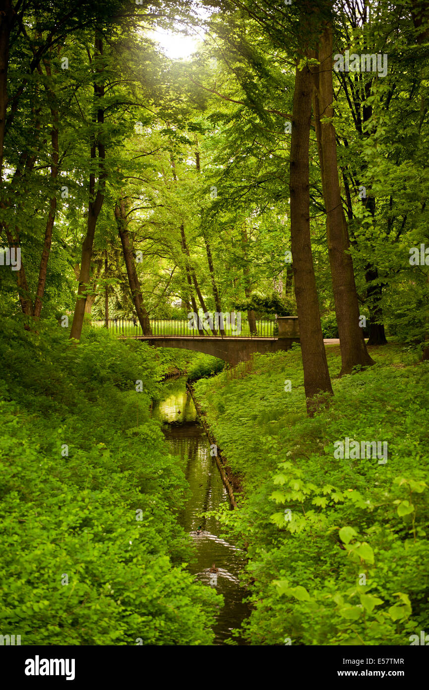 Tree trees deciduous stream hi-res stock photography and images - Alamy