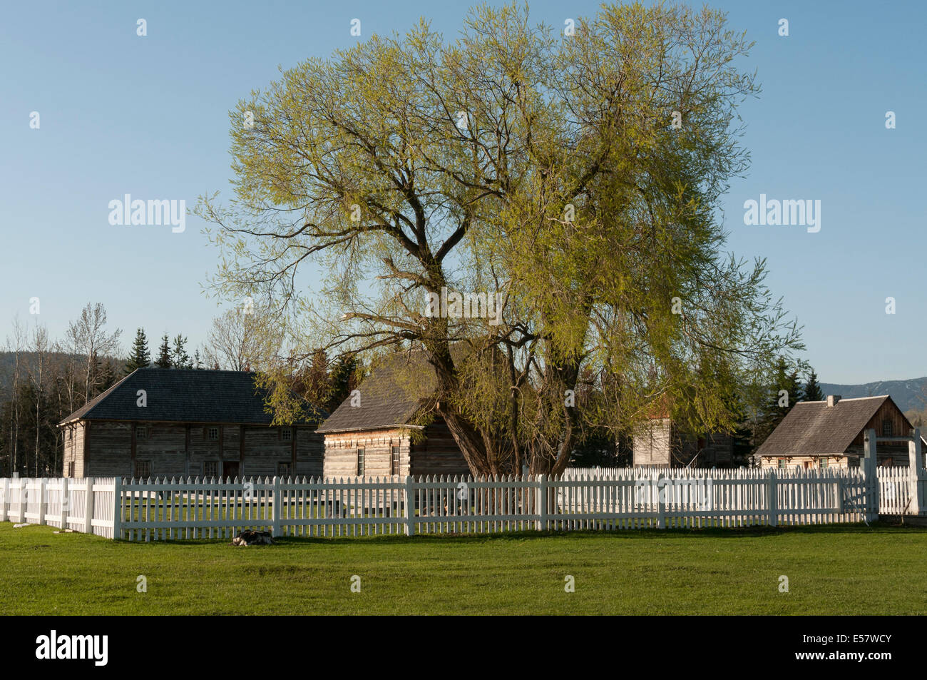 Elk203-3411 Canada, British Columbia, Fort St James National Historic ...
