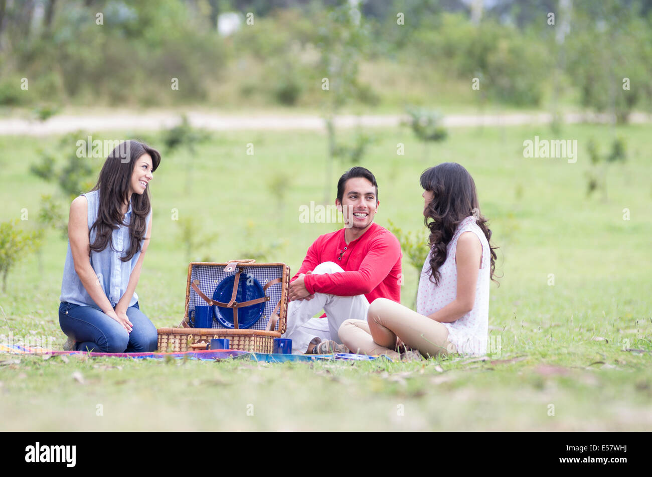 group of friends having a picnic outdoors Stock Photo - Alamy