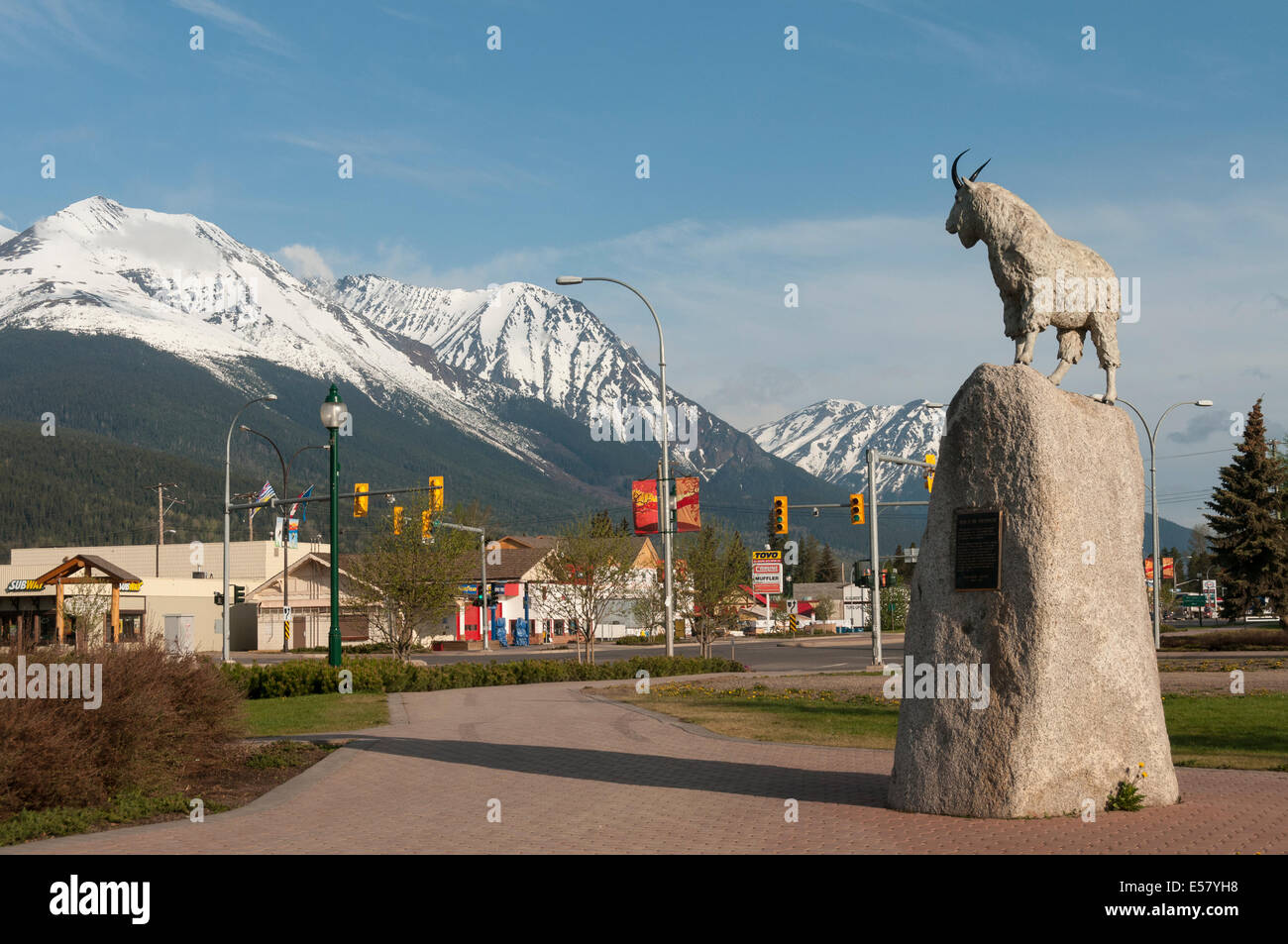 Elk203-3549 Canada, British Columbia, Smithers, town with mountain goat ...