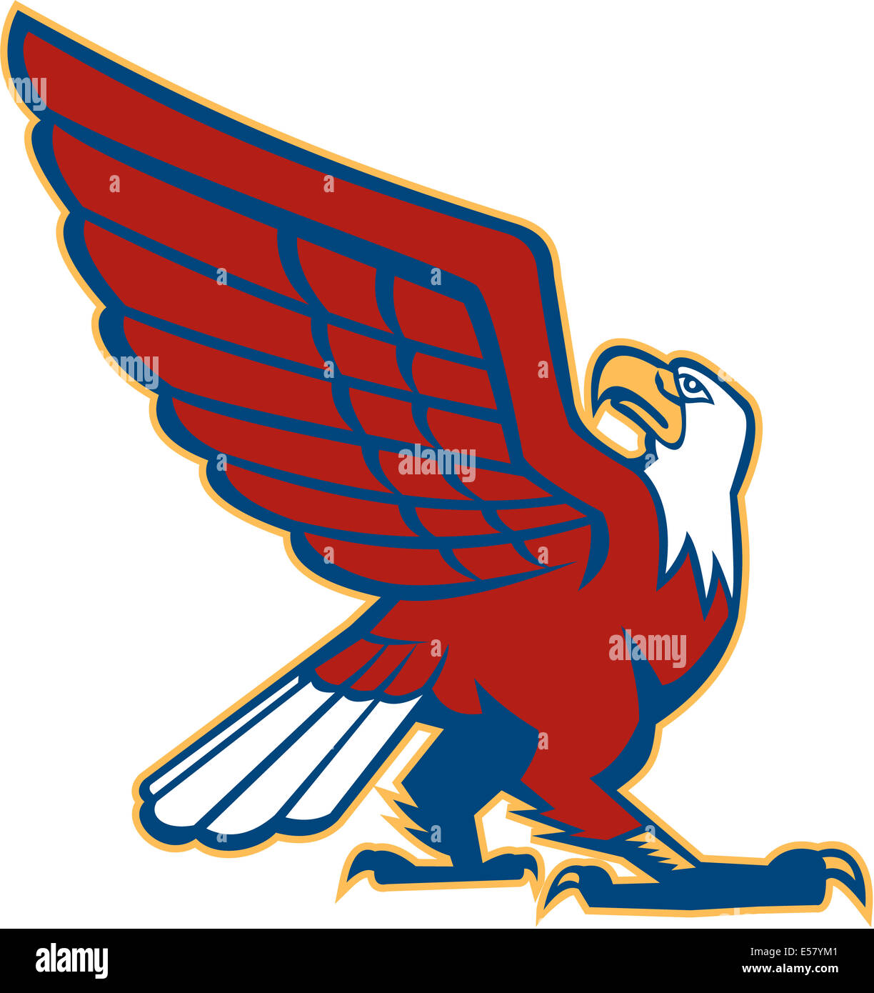 Illustration of a bald eagle looking up viewed from the side on ...