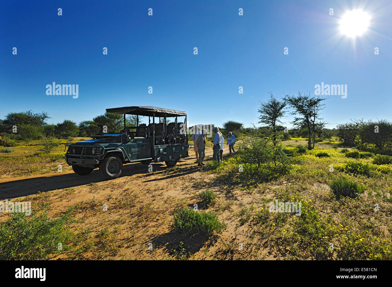Safari carriage with tourists in blooming savannah, Erindi Game Reserve ...