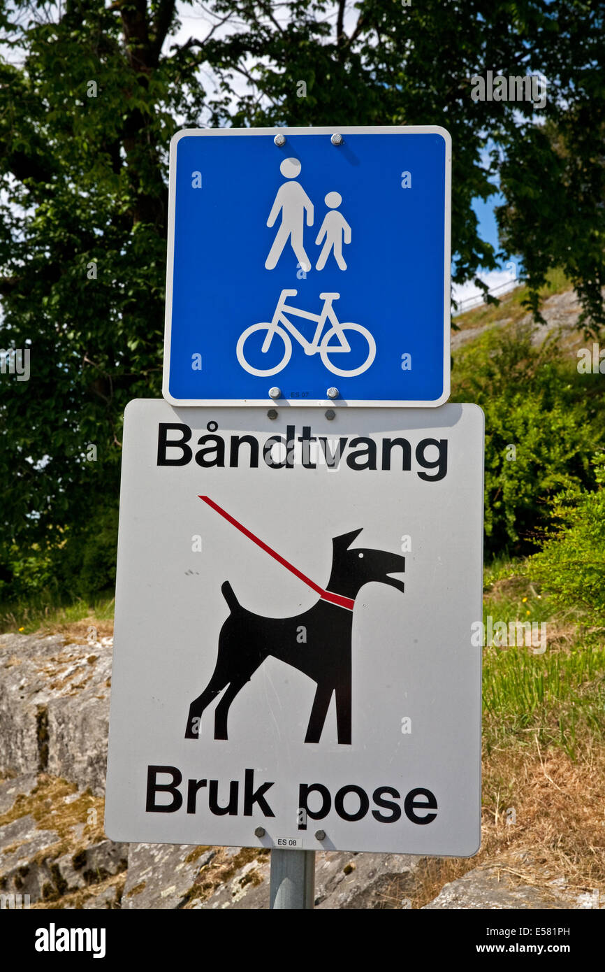 Blue information signs in a park in Alesund Norway Stock Photo - Alamy