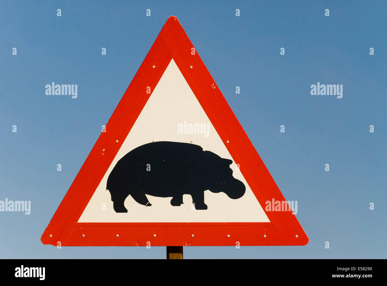 Warning sign, hippos crossing, South Africa Stock Photo - Alamy