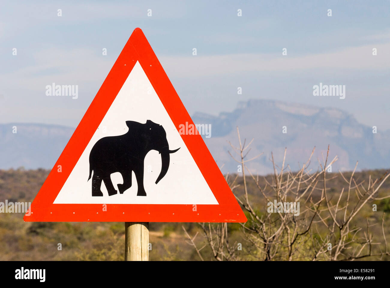 Warning sign, elephants crossing, South Africa Stock Photo - Alamy