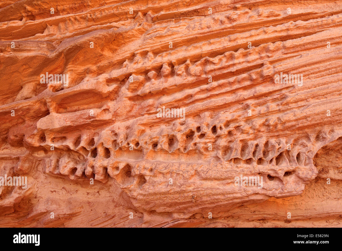 Wind erosion on soft sandstone layers, Sahara desert, Tassili n'Ajjer ...