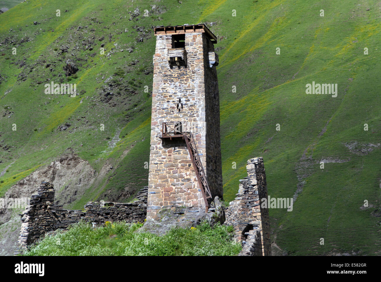 Medieval living and defence tower, Sno Valley, Sno, Kazbegi Region ...