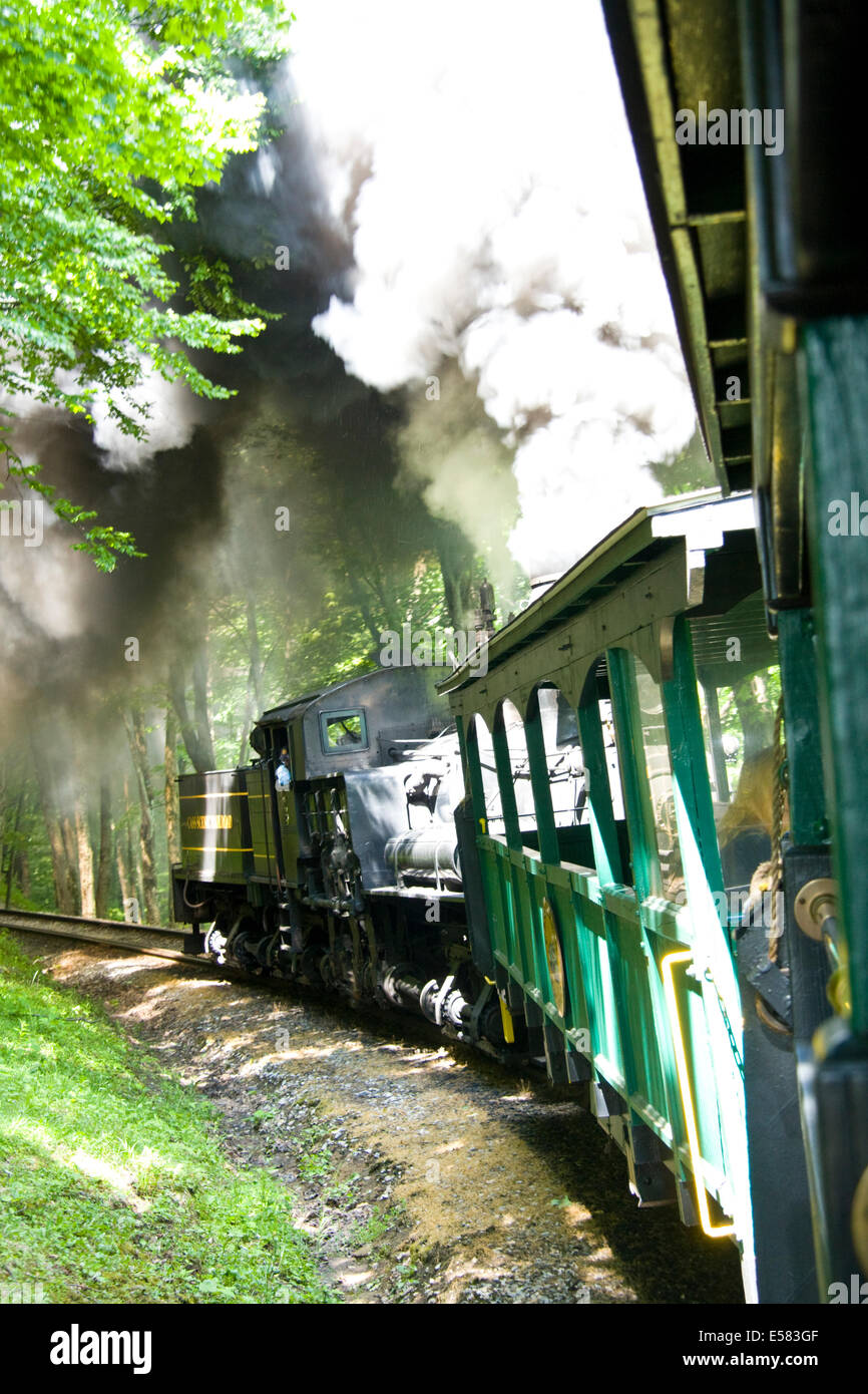 Cass Scenic Railroad State Park, West Virginia, USA Stock Photo - Alamy