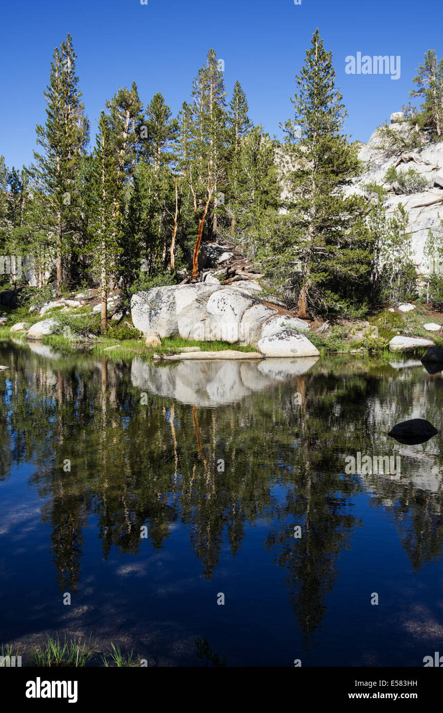 Evergreen trees lake hi-res stock photography and images - Alamy