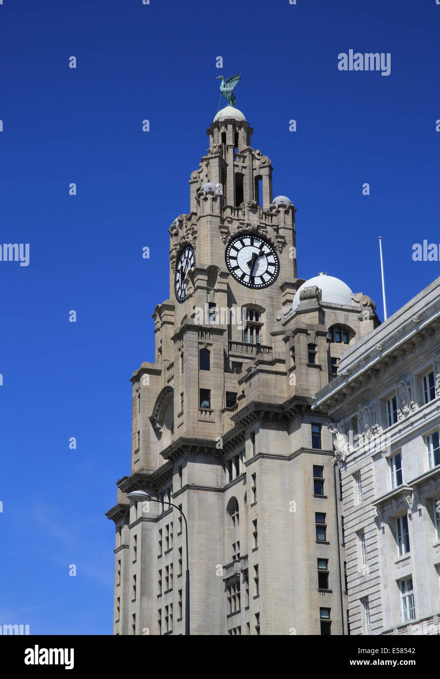 The royal liver building is grade listed building in liverpool hi-res ...