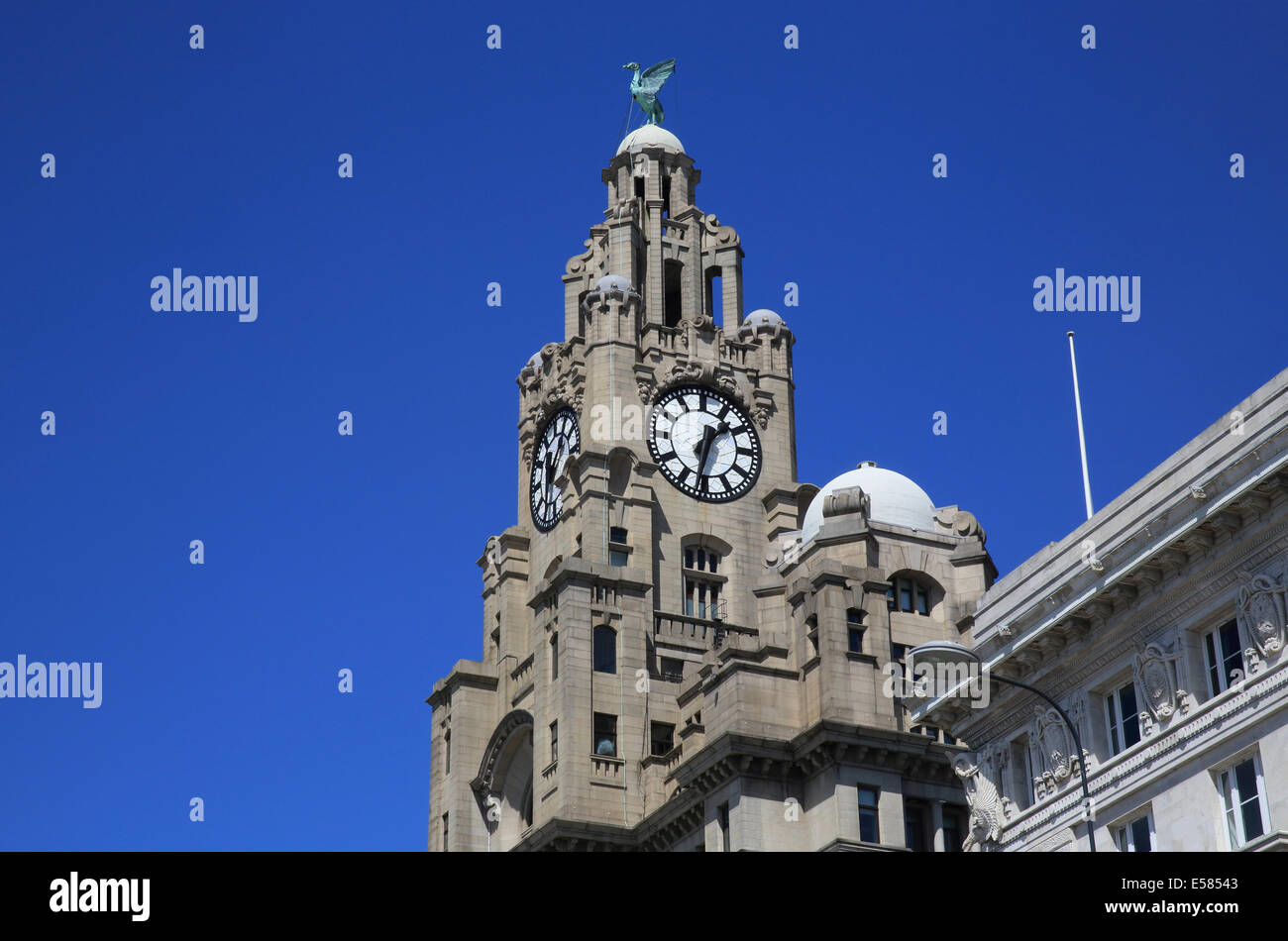The royal liver building is grade listed building in liverpool hi-res ...